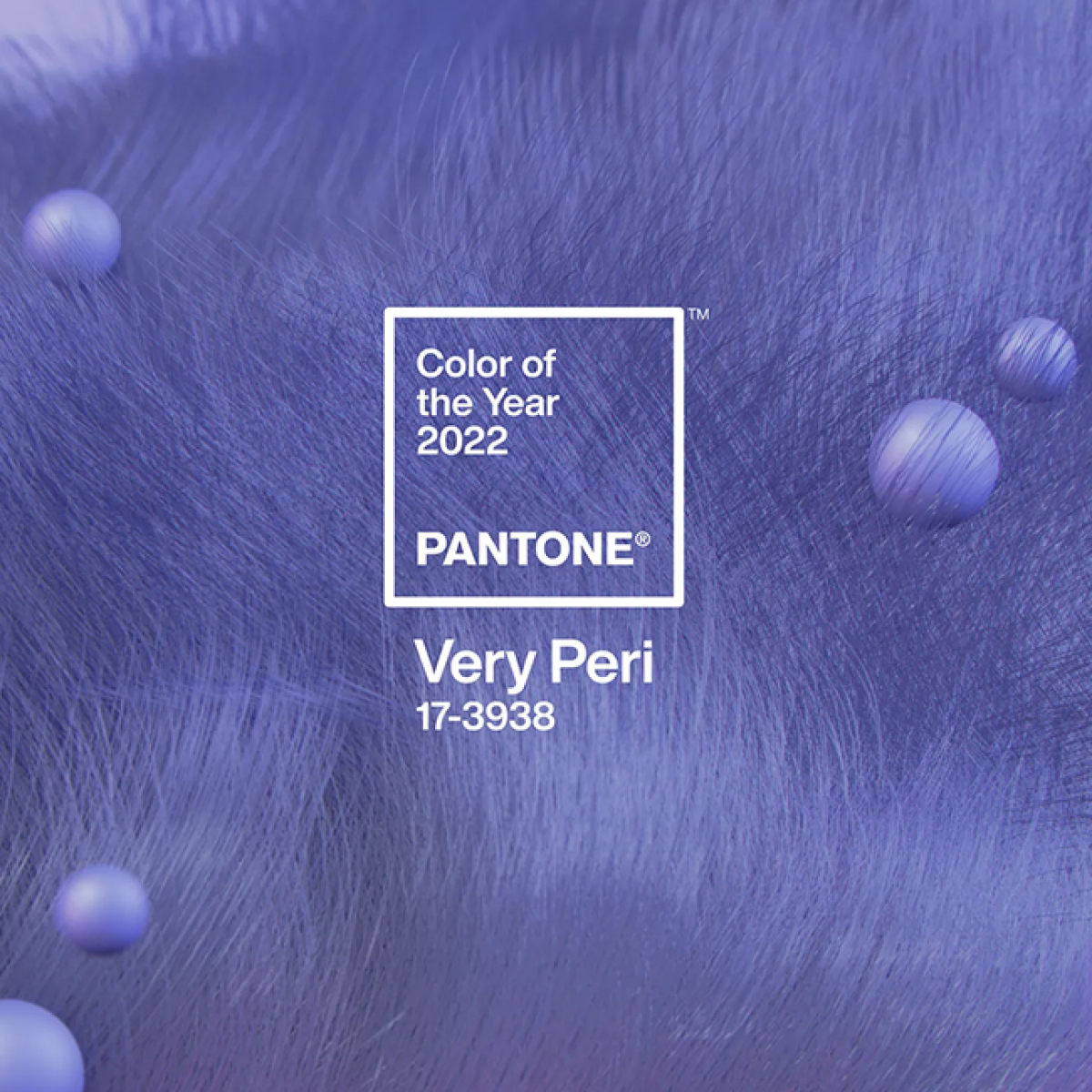 Pantone Color of the Year - Fuxia, Urban Tribes United